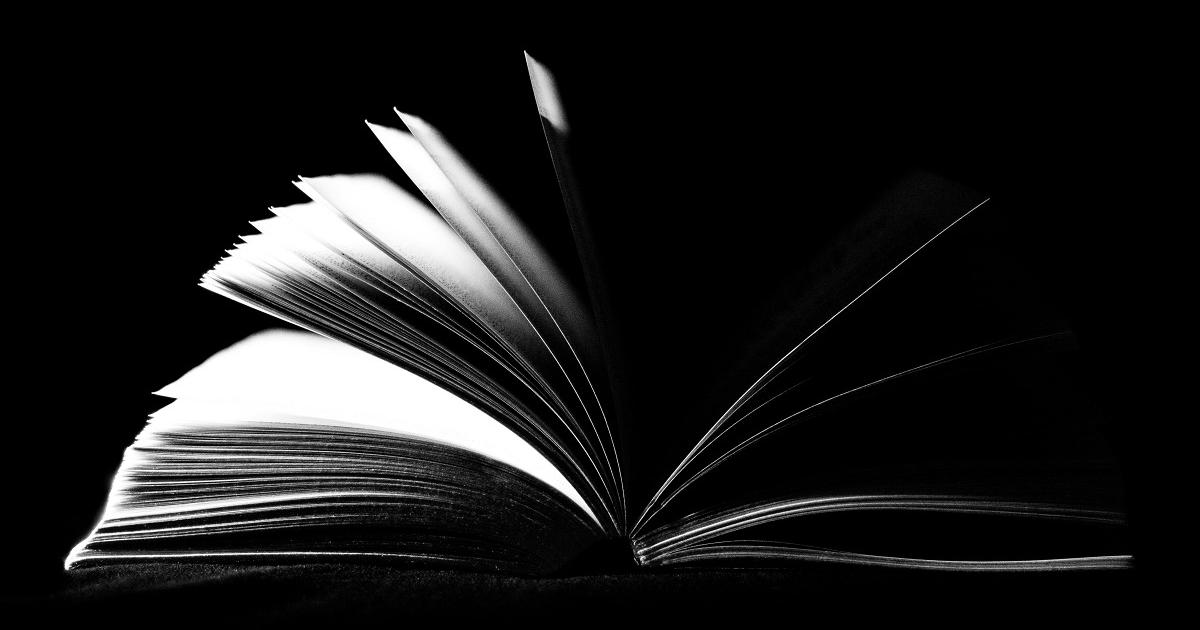 Πώς λέγεται στα ελληνικά το feedback; | Alfavita